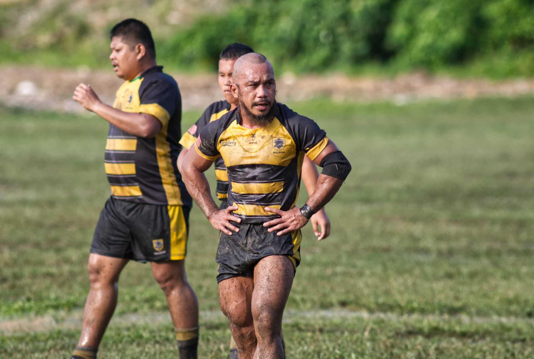 DOWNLOAD MEMBERS FORM HERE