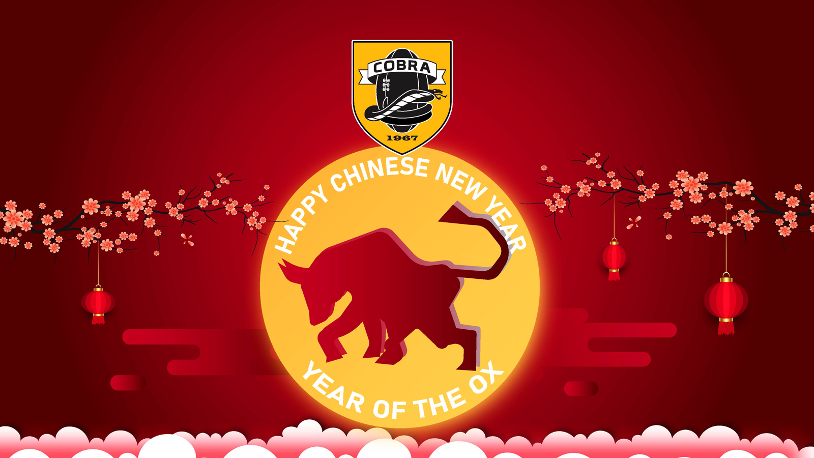 COBRA - COBRA RUGBY Malaysia